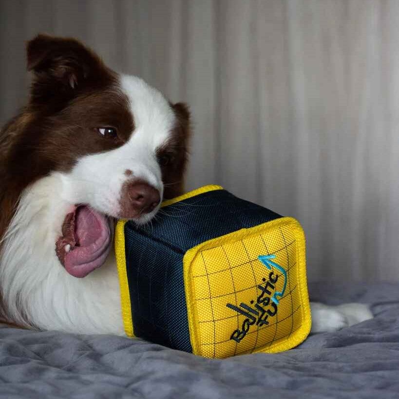 Ballistic Fun Toys | Walter Hart London